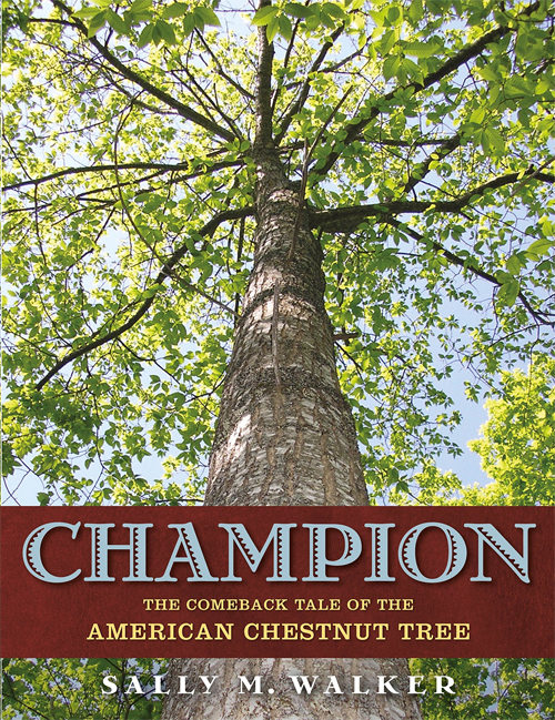 Champion: The Comeback Tale of the American Chestnut Tree – Cooperative ...