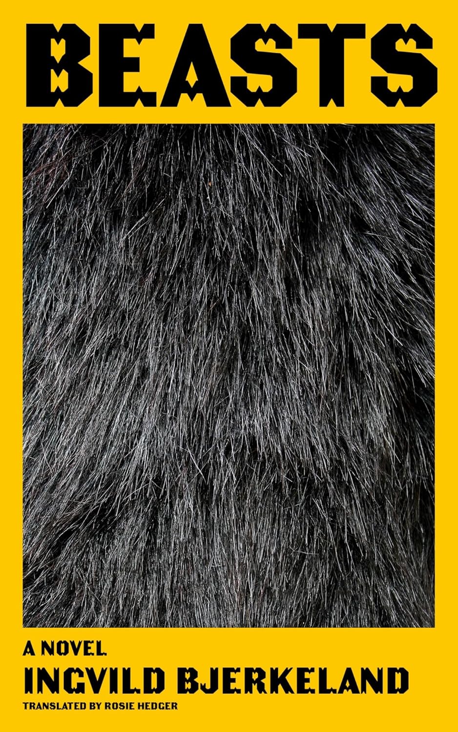 Beasts – Cooperative Children's Book Center – UW–Madison